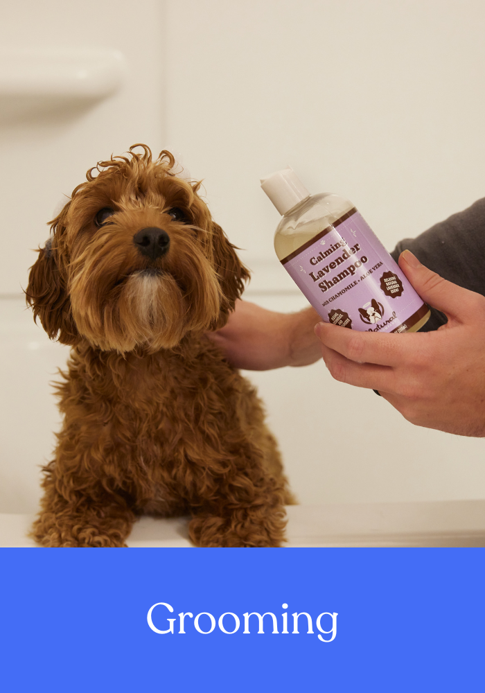 Grooming – DOG'S CHOICE