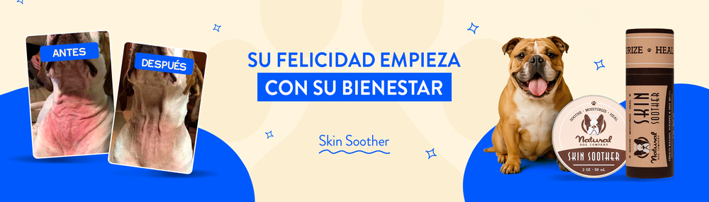 Dog's Choice | Cuidado para tu mascota – DOG'S CHOICE